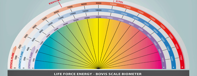 Die Lebenskraft des Schungits anhand des Boviswerts Schungit Produkte